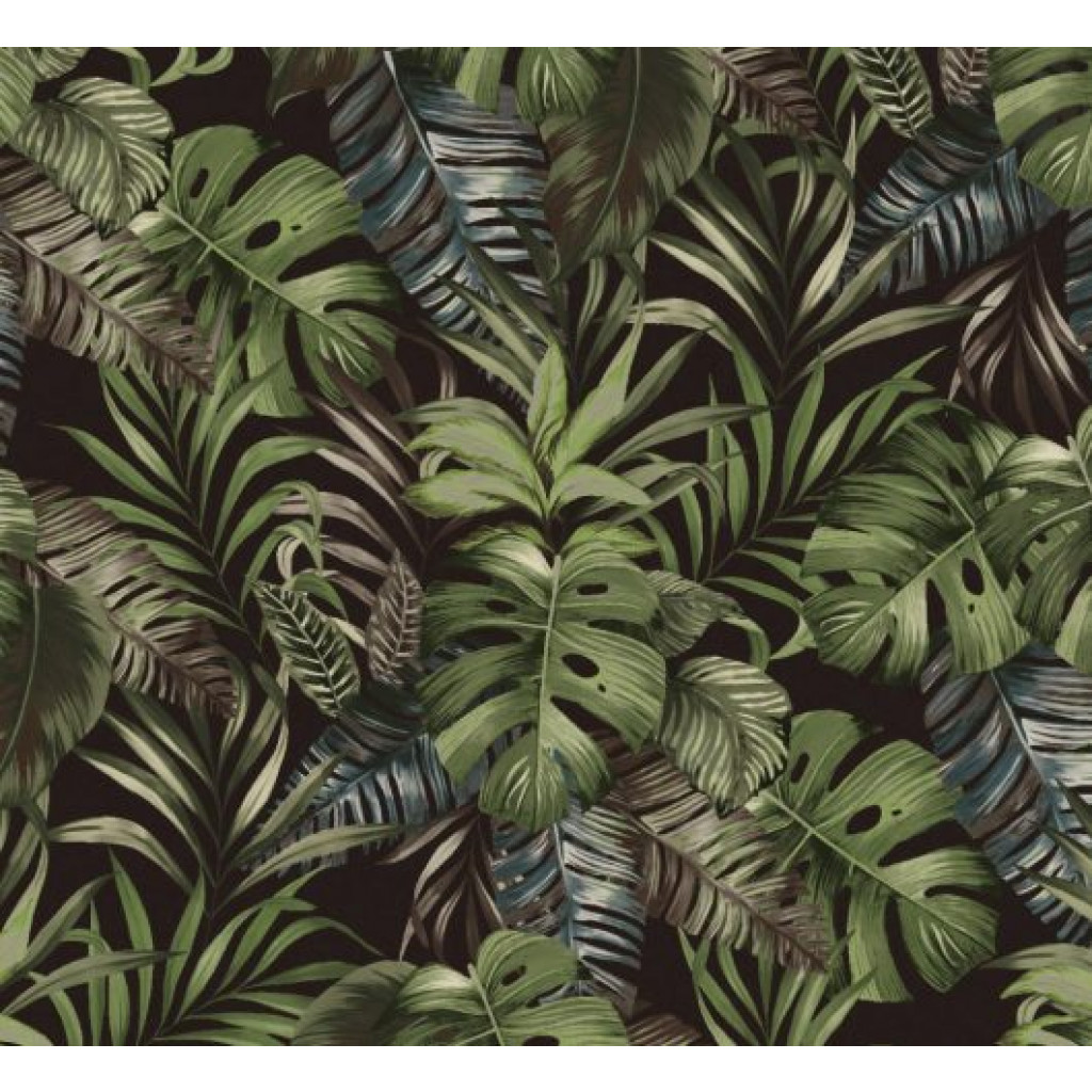 Maranta Preto - Karsten